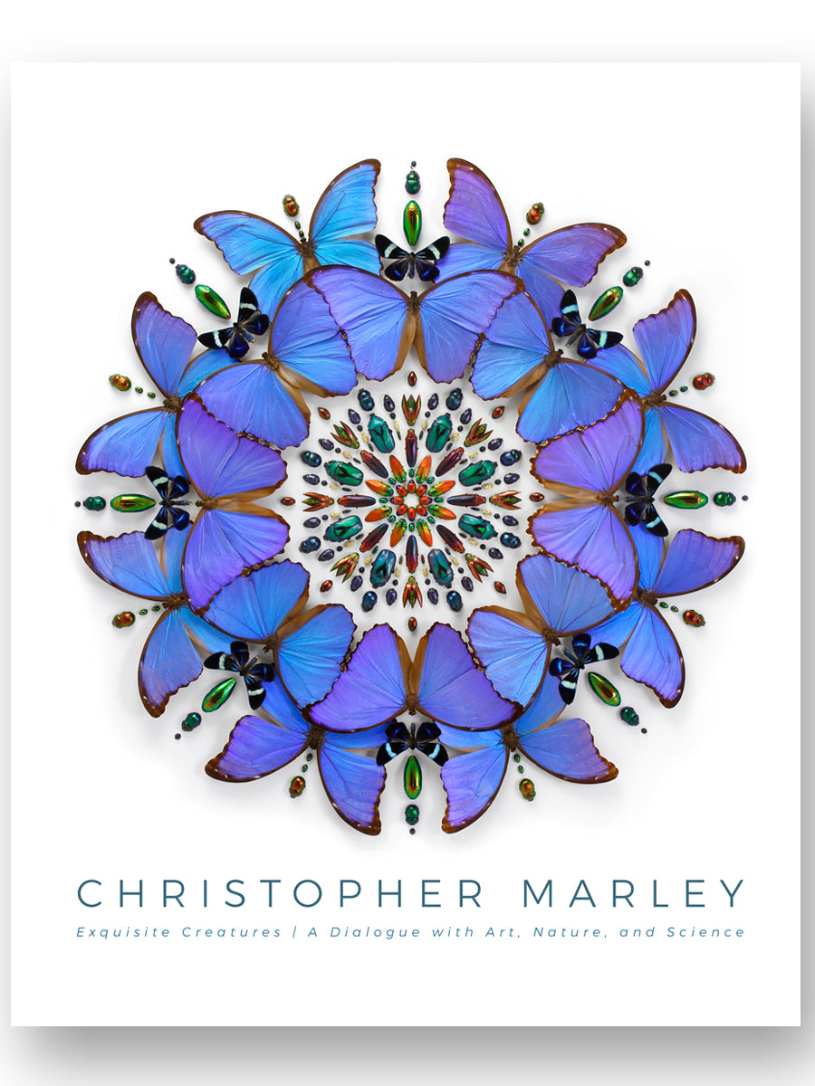 EXQUISITE CREATURES (HARDCOVER) Book | Second Edition – Christopher ...