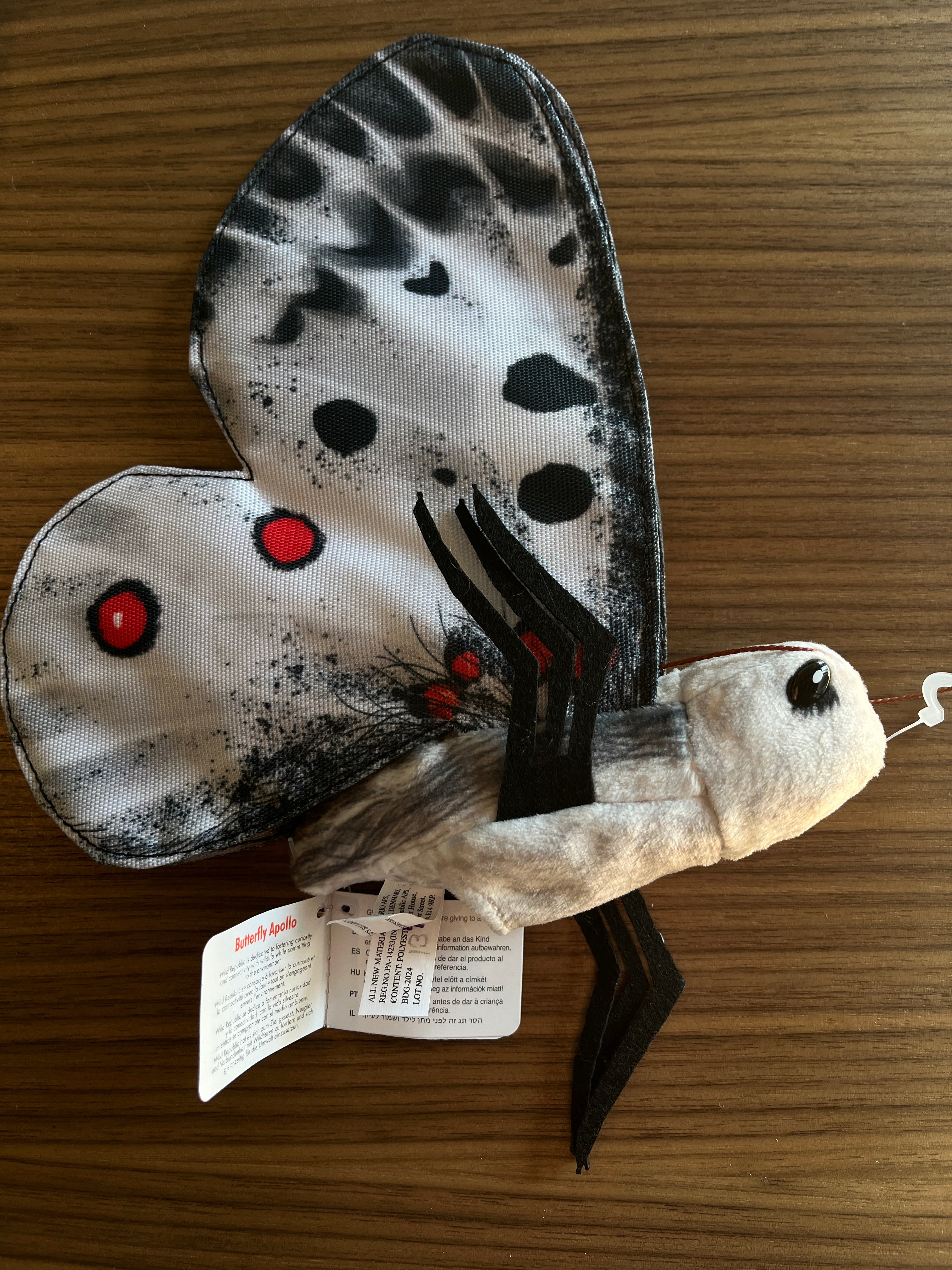 Butterfly Apollo 28665 – Christopher Marley Studio