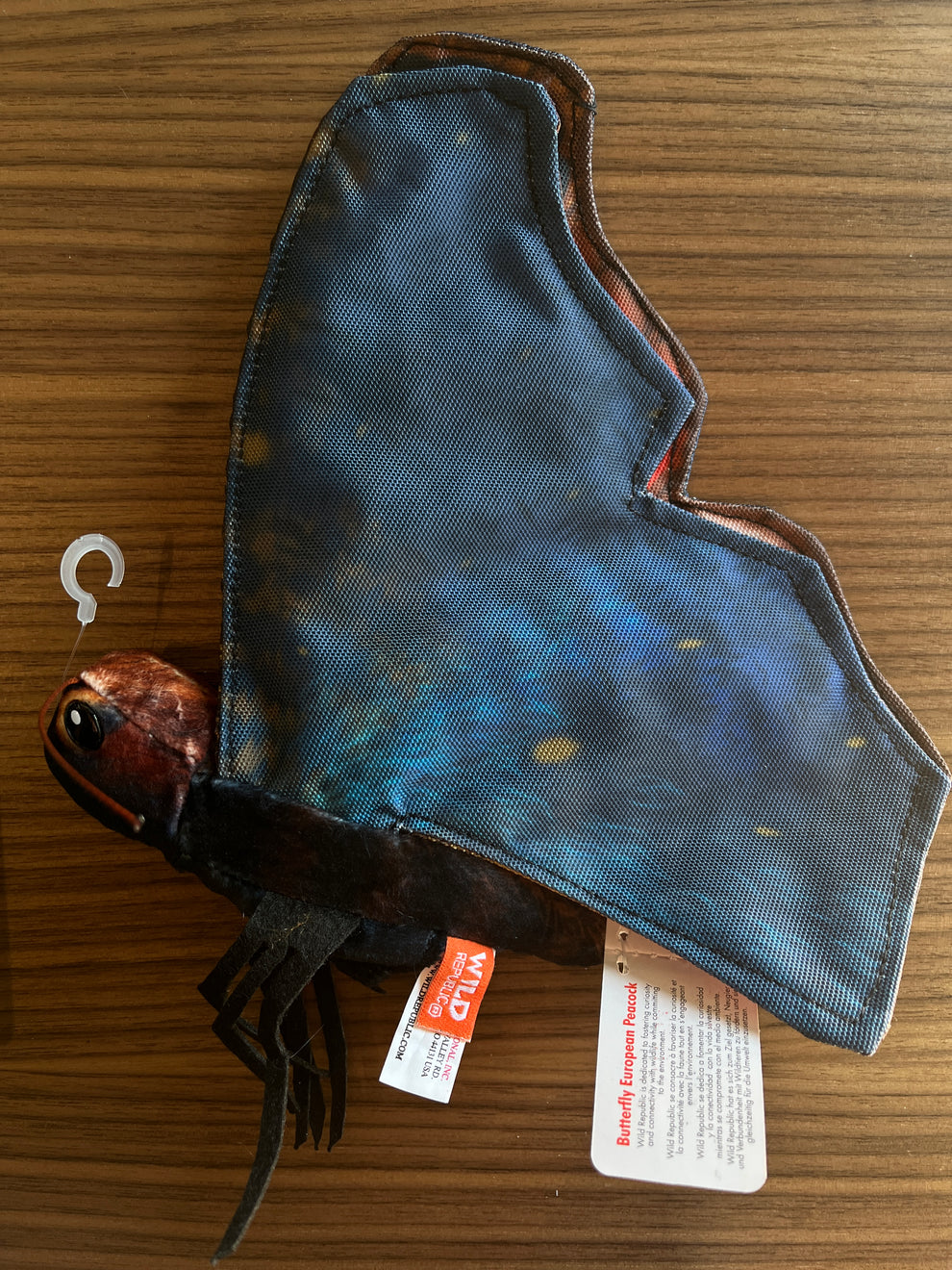 Butterfly European Peacock 28283 – Christopher Marley Studio