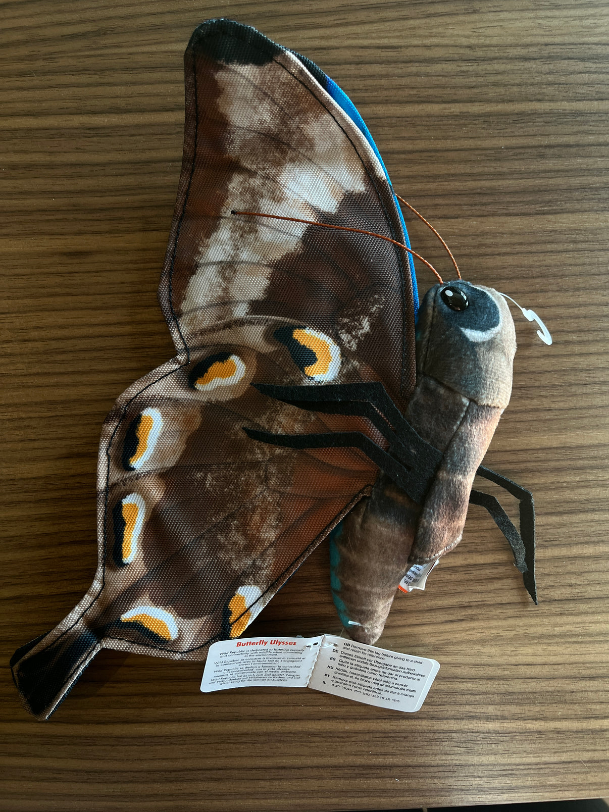 Butterfly Ulysses 28286 – Christopher Marley Studio