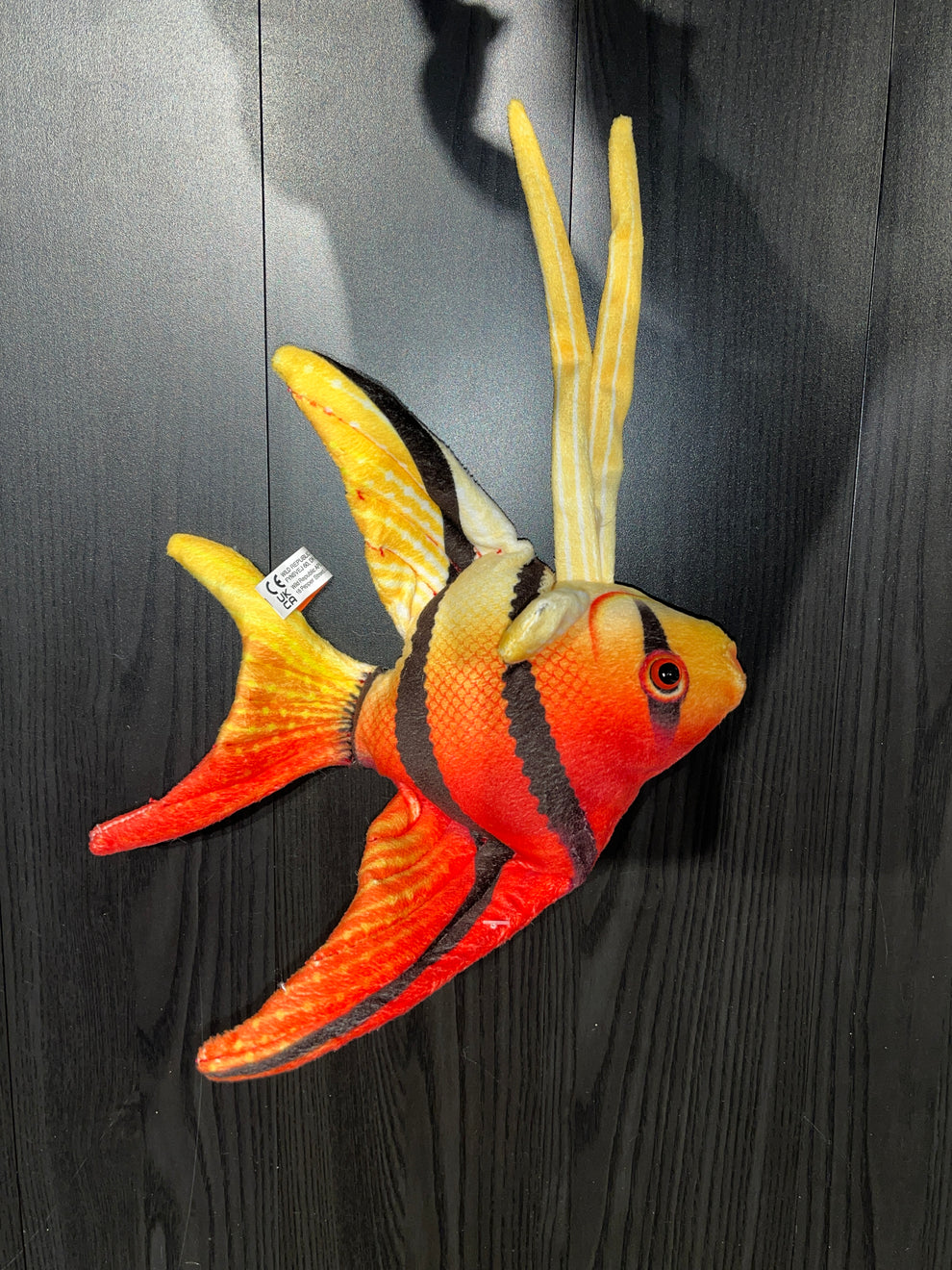Coral Reef Angelfish 27002 – Christopher Marley Studio
