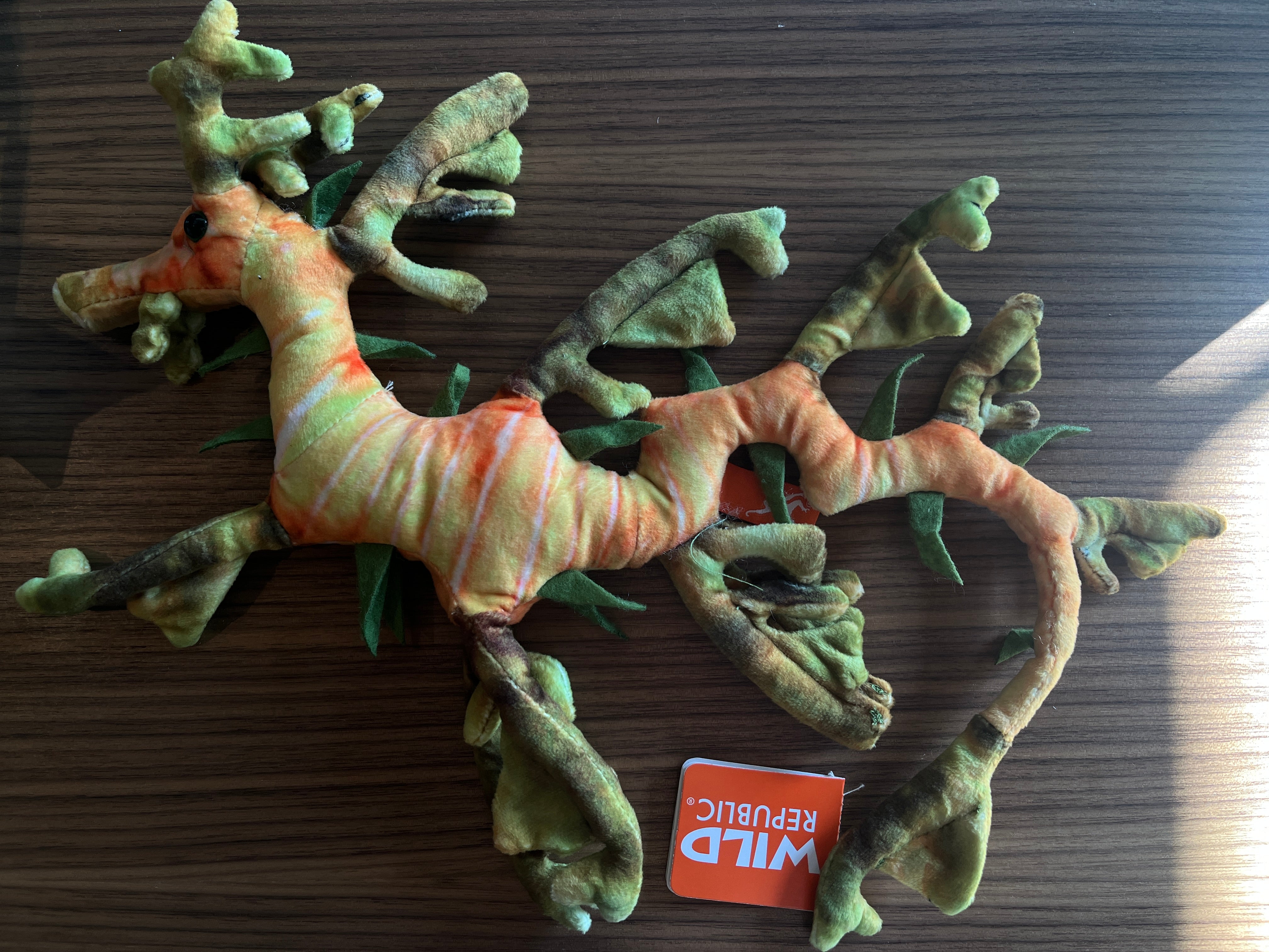 Living Leafy Seadragon 28789 – Christopher Marley Studio